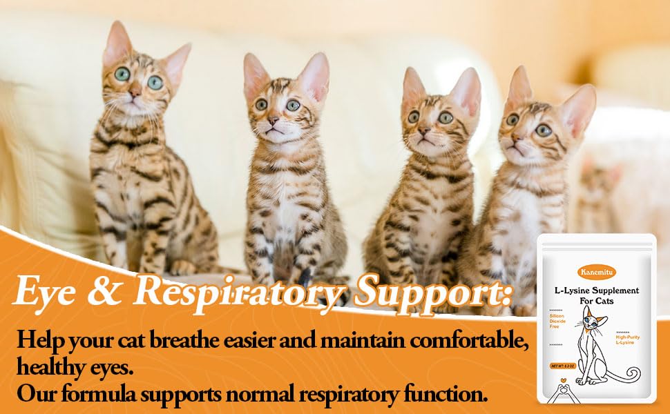 boost your cat's immune system with l-lysine