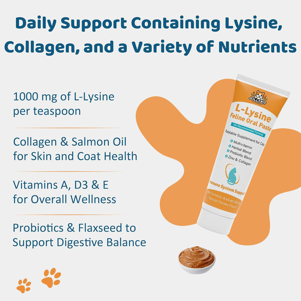 Boost your cat's immune system with L-Lysine
