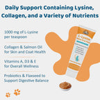 Boost your cat's immune system with L-Lysine