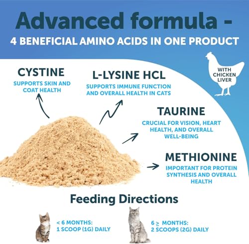 Boost your cat's immune system