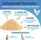 Boost your cat's immune system