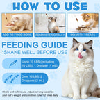 Boost your cat's immune system