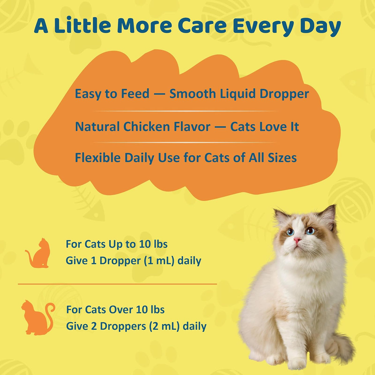 Boost your cat's immune system