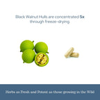 boost your cleanse with black walnut