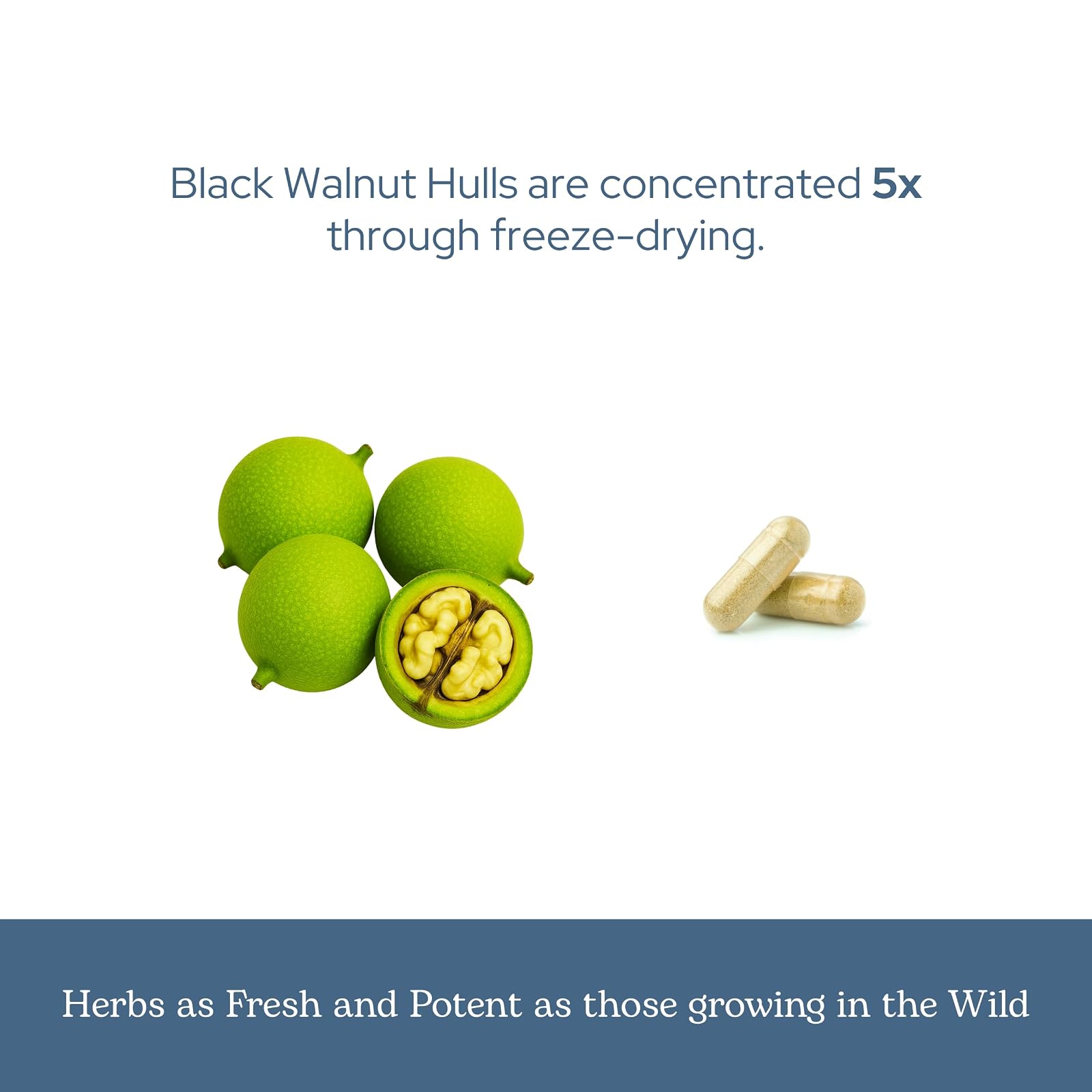 boost your cleanse with black walnut