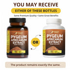 boost your daily wellness routine