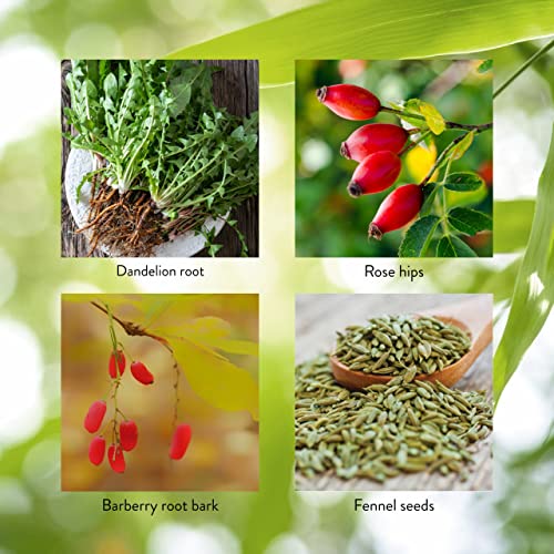 boost your digestion with LIV-J