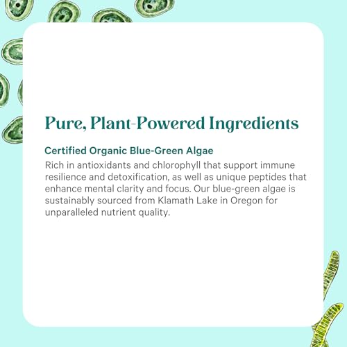 boost your energy levels naturally