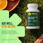 boost your energy levels