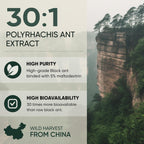 boost your energy with black ant extract