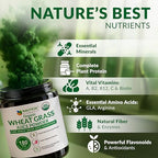 boost your energy with chlorophyll