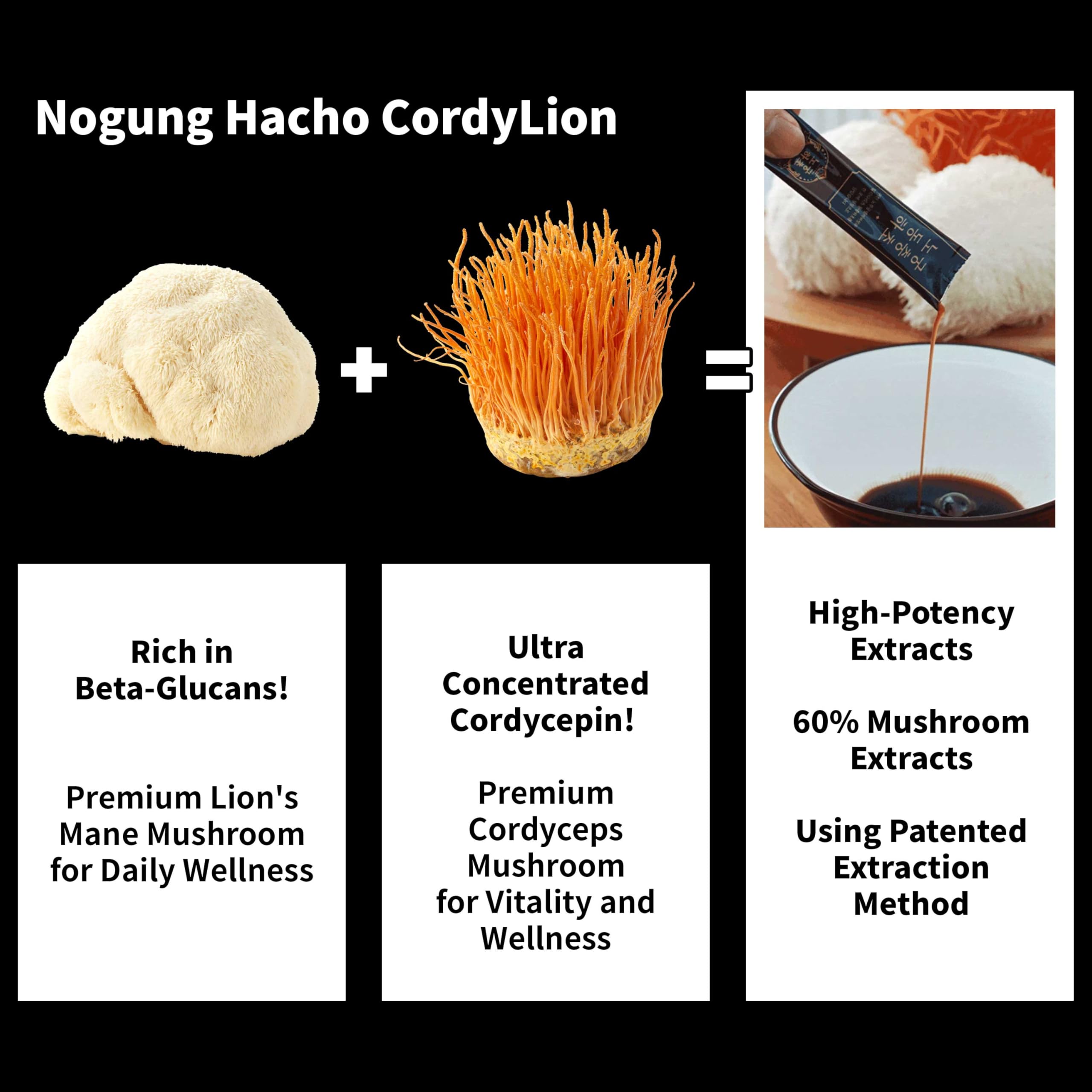 Boost your energy with CordLion mushrooms