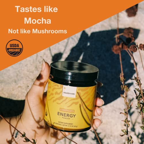 boost your energy with cordyceps mushrooms