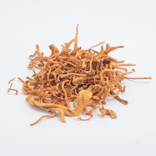 boost your energy with cordyceps mushrooms