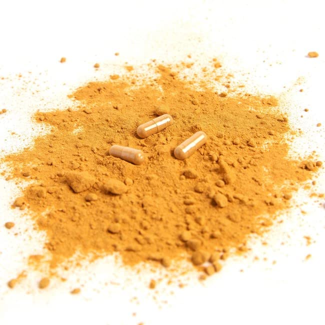 Boost your energy with Cordyceps