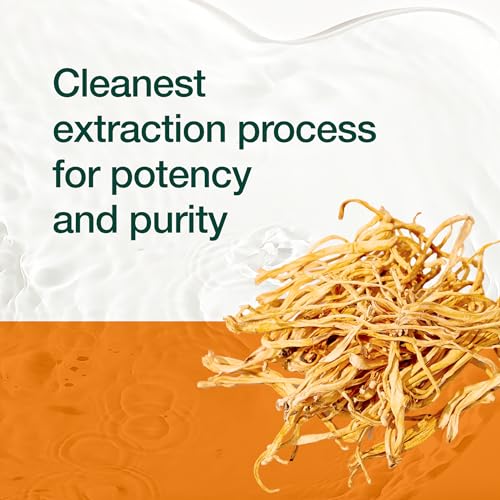 Boost your energy with cordyceps