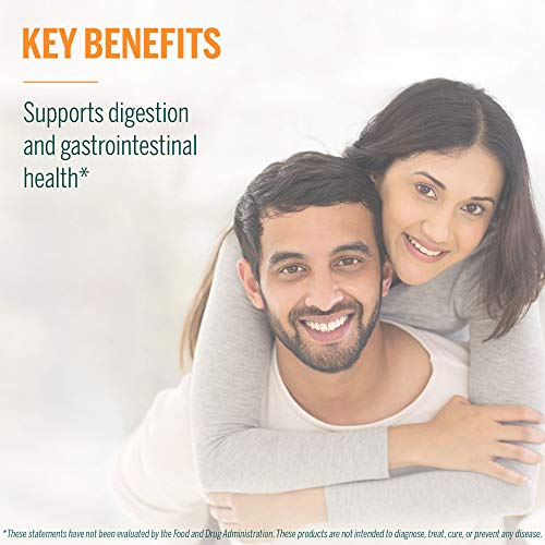 Boost your energy with Digest-gen