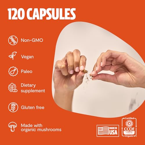 Boost your energy with FreshCap