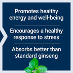 boost your energy with ginseng