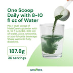 boost your energy with greens powders
