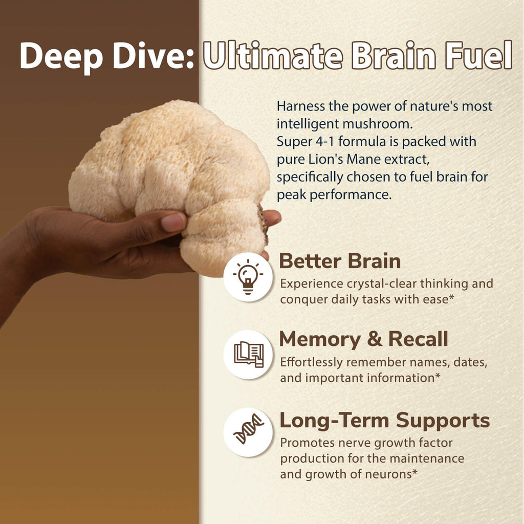 boost your energy with lion's mane