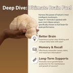 boost your energy with lion's mane