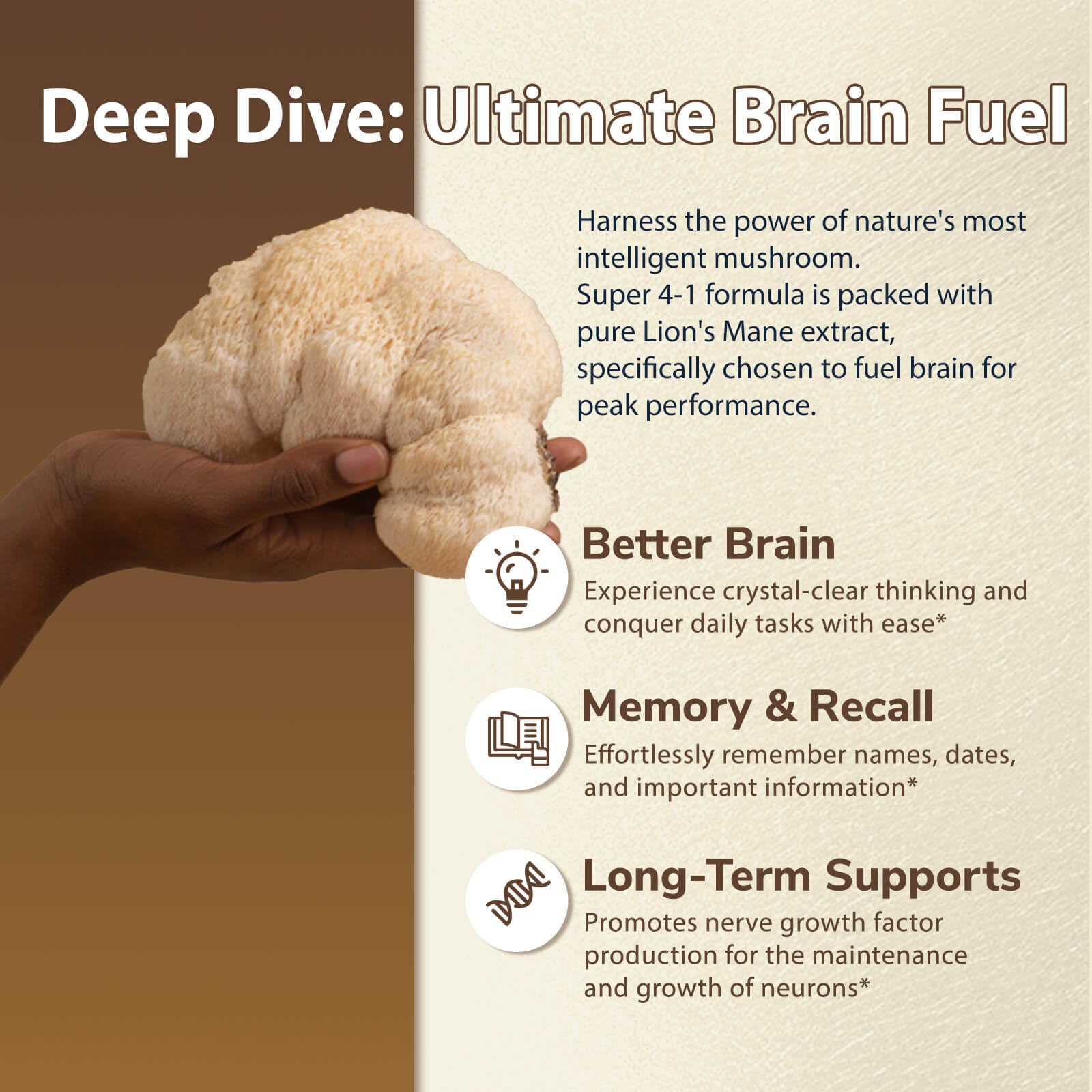 boost your energy with lion's mane