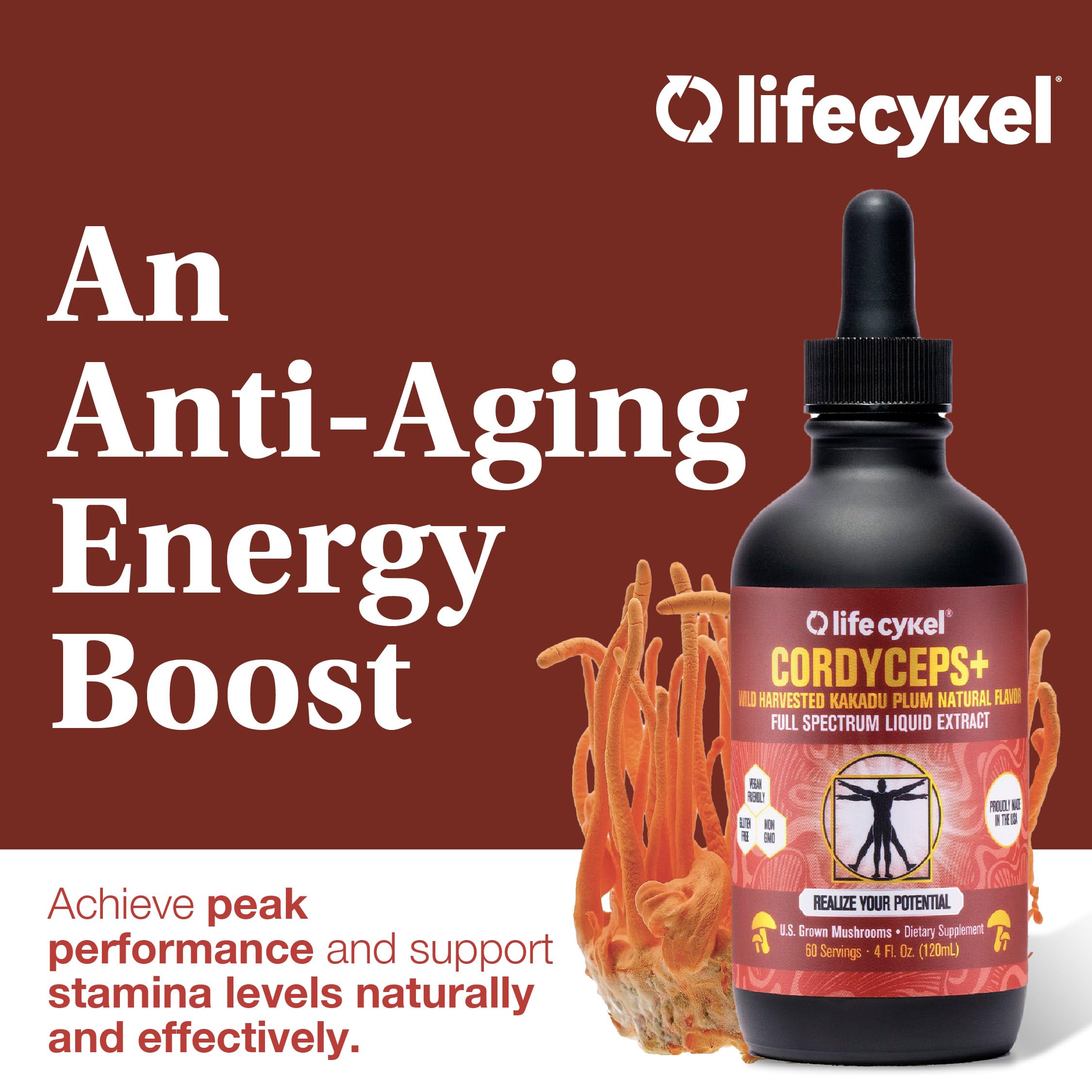 Boost your energy with mushrooms