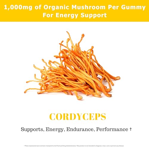 boost your energy with mushrooms