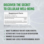 Boost your energy with NAD