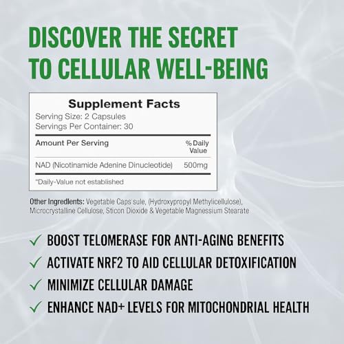 Boost your energy with NAD