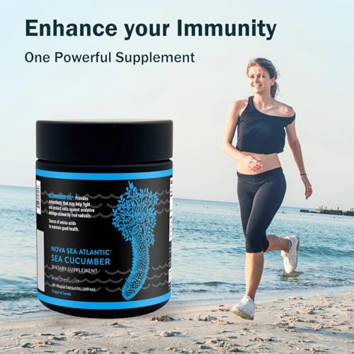 boost your energy with sea cucumber
