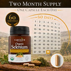 Boost your energy with selenium