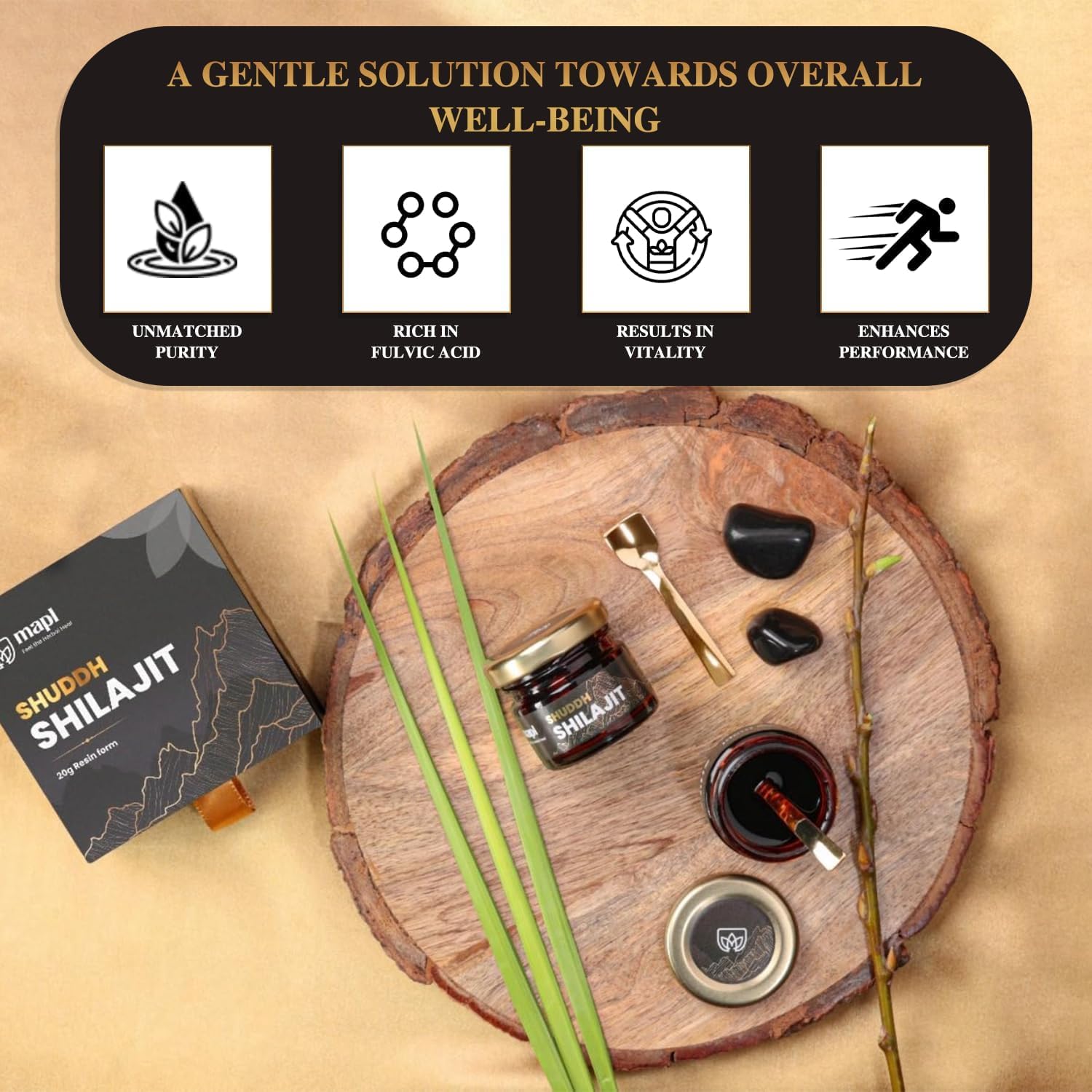 boost your energy with shilajit