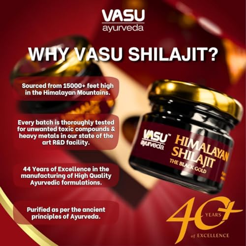 boost your energy with shilajit