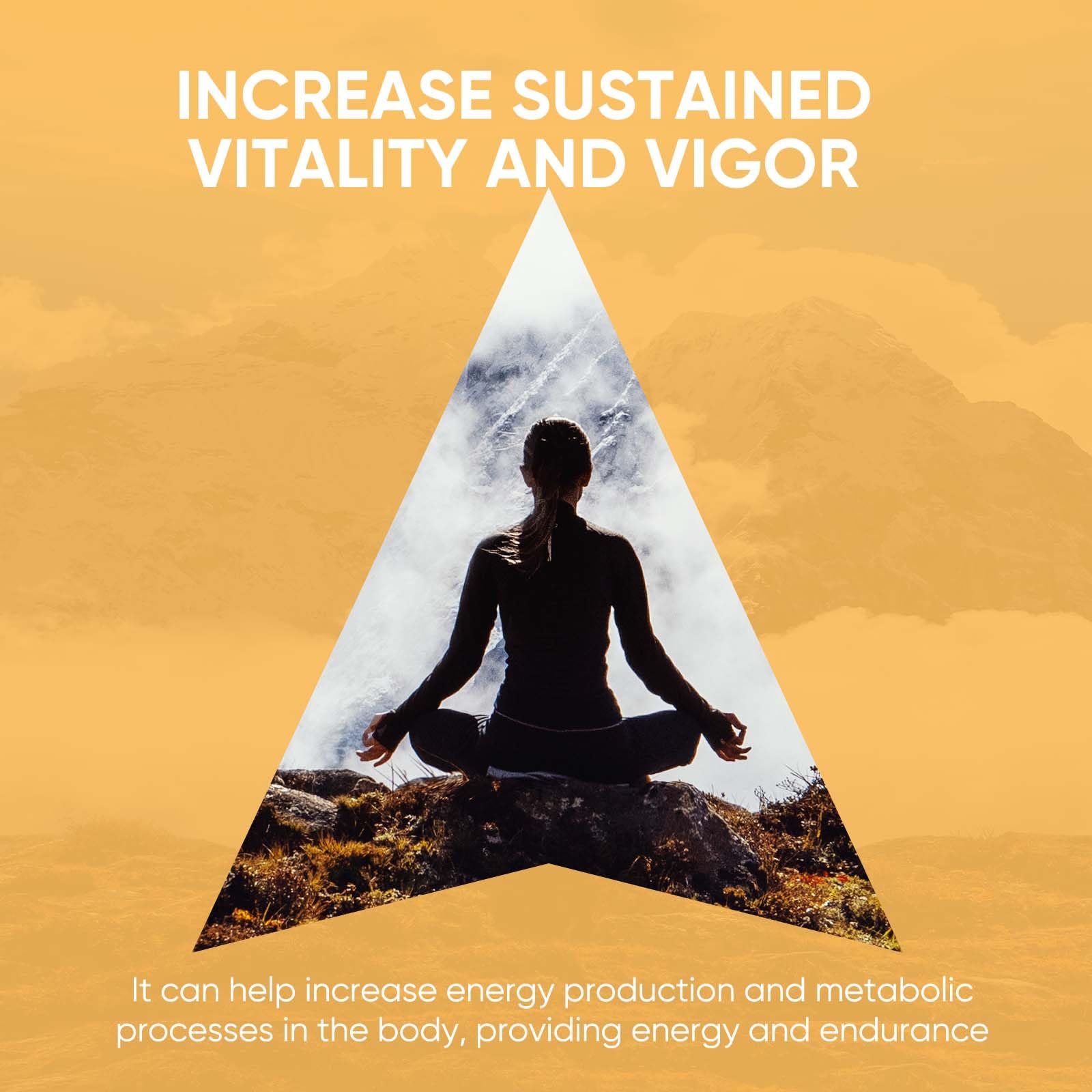 Boost your energy with Shilajit