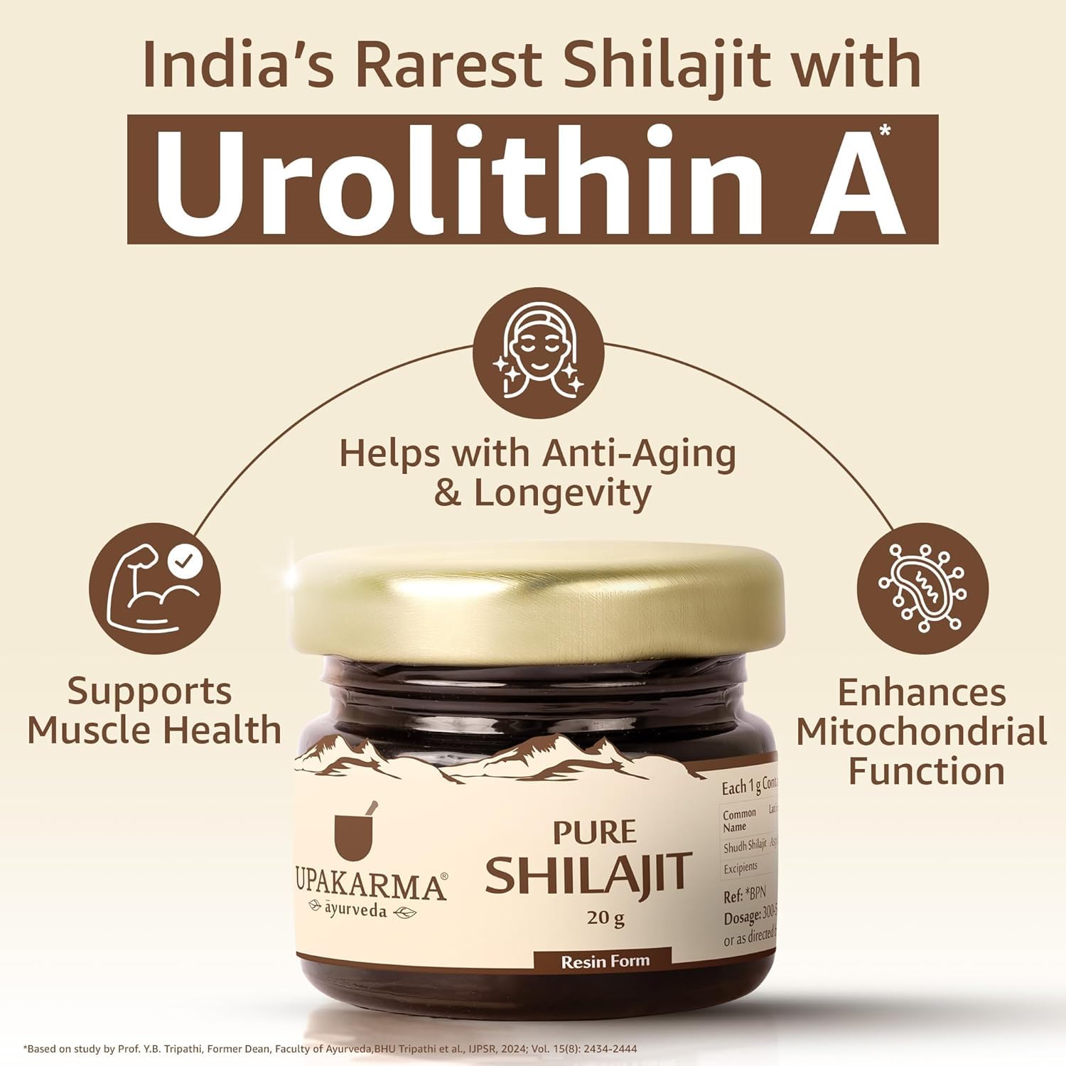 boost your energy with shilajit