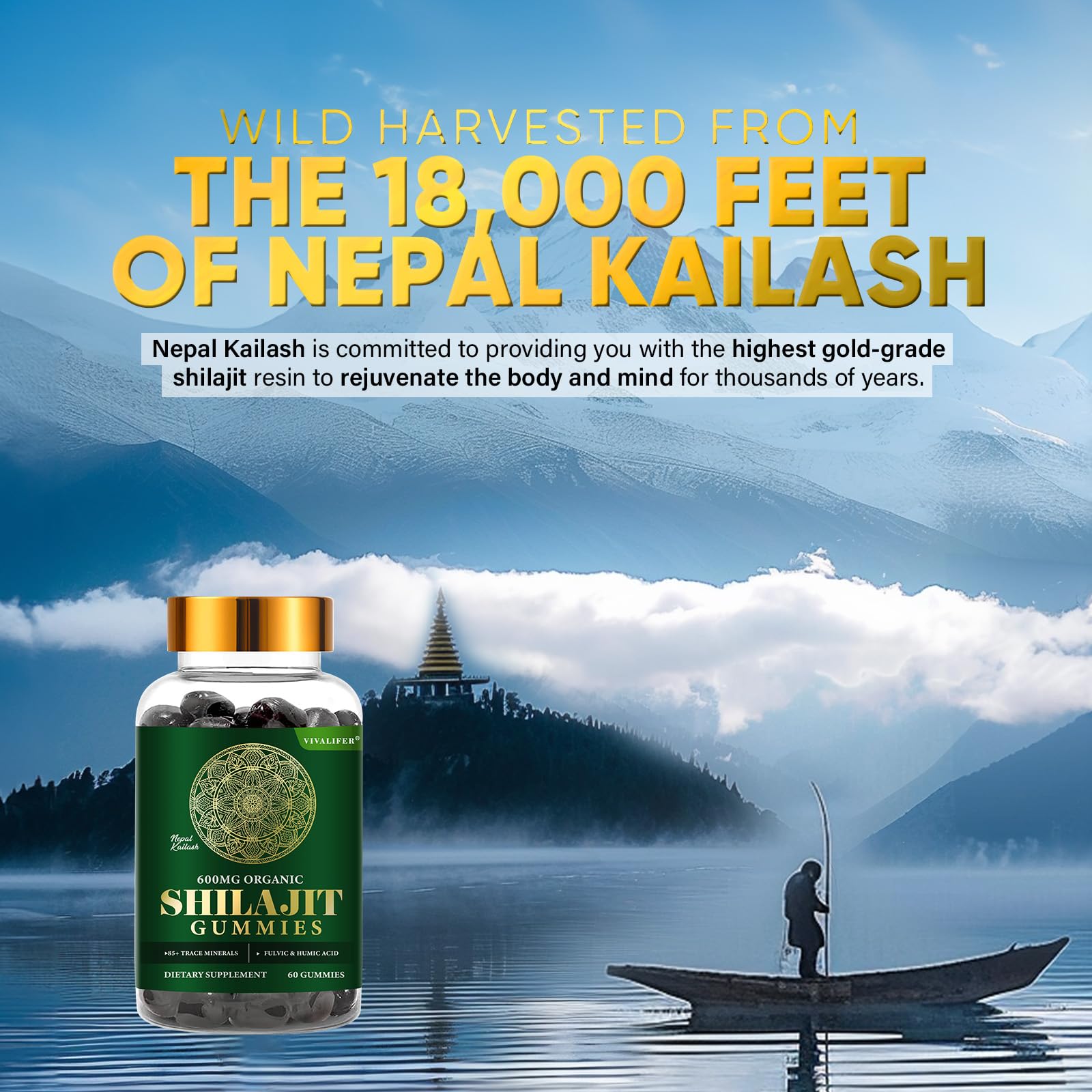 boost your energy with Shilajit