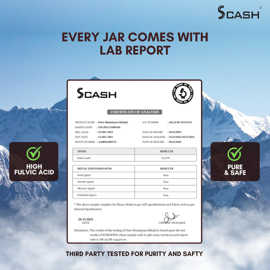boost your energy with shilajit