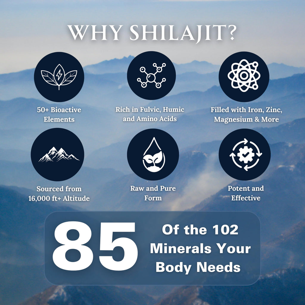 boost your energy with shilajit