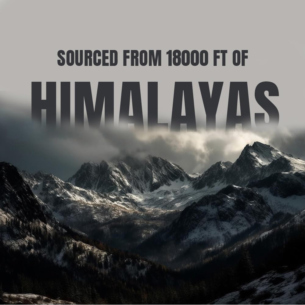 Boost your energy with Shilajit