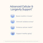 Boost your energy with Urolithin A