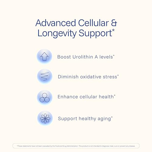 Boost your energy with Urolithin A