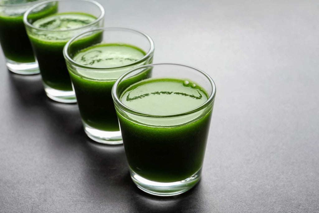 boost your energy with wheat grass