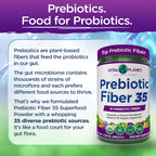 Boost your fiber intake with Vital Planet