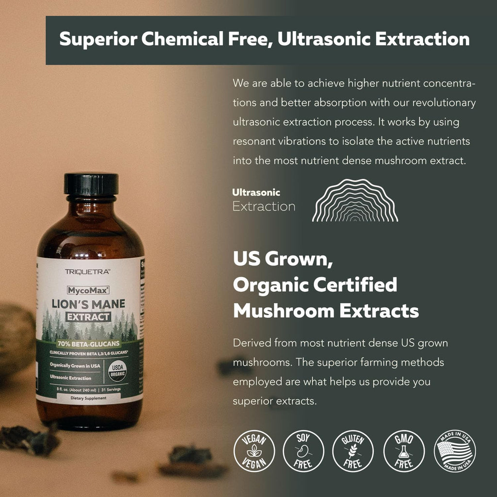 Boost your focus with Lions Mane