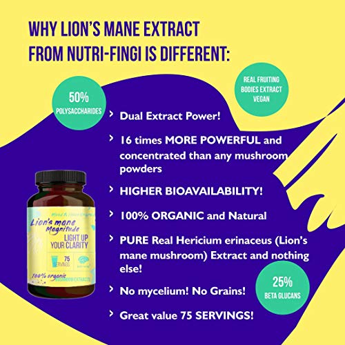 boost your focus with mushrooms