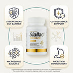 Boost your gut with HMO 3'-SL