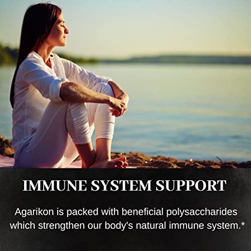 Boost your health with Agarikon mushrooms
