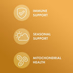 boost your health with bee propolis